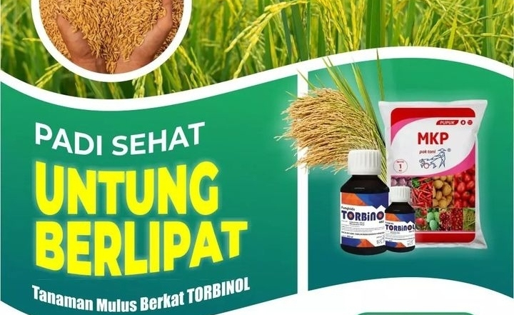 Produk Toko_SAM | Shopee Indonesia