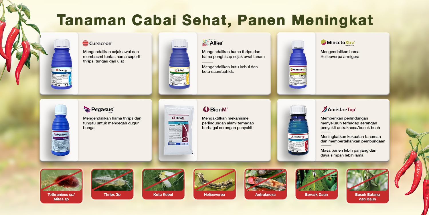 Toko Online Syngenta Official Store | Shopee Indonesia