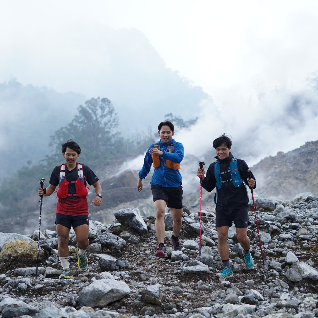 Produk Greenforest Official | Shopee Indonesia