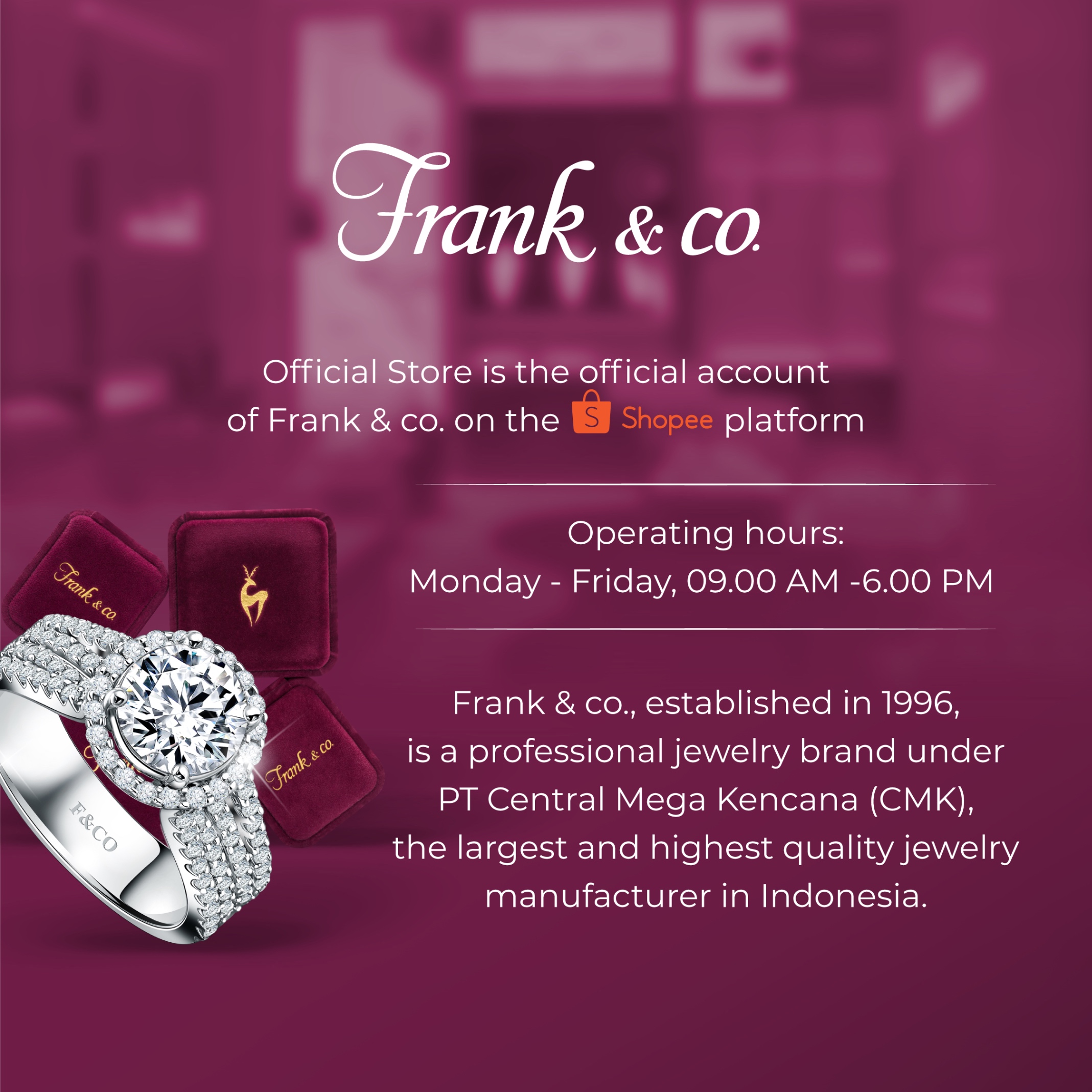 Toko Online Frank & co. Official Store | Shopee Indonesia