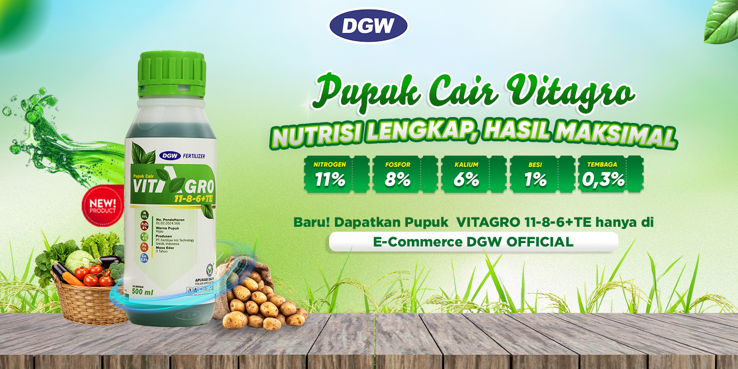 Toko Online DGW Official Store | Shopee Indonesia