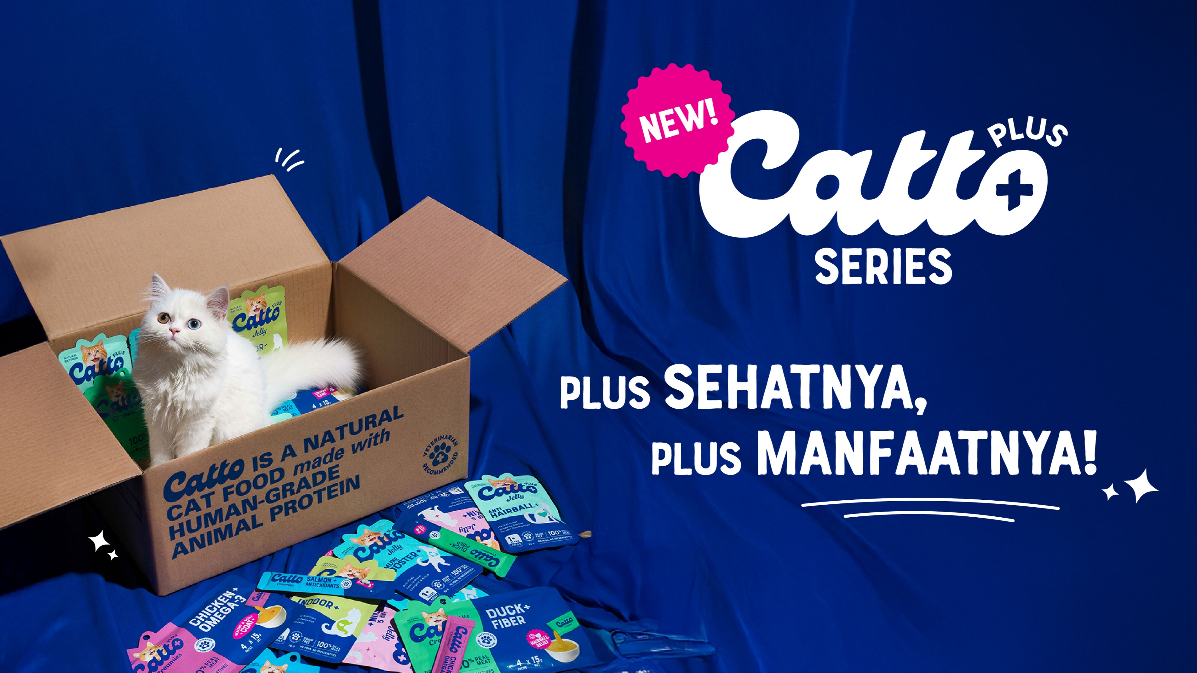 Toko Online Catto Official Store | Shopee Indonesia