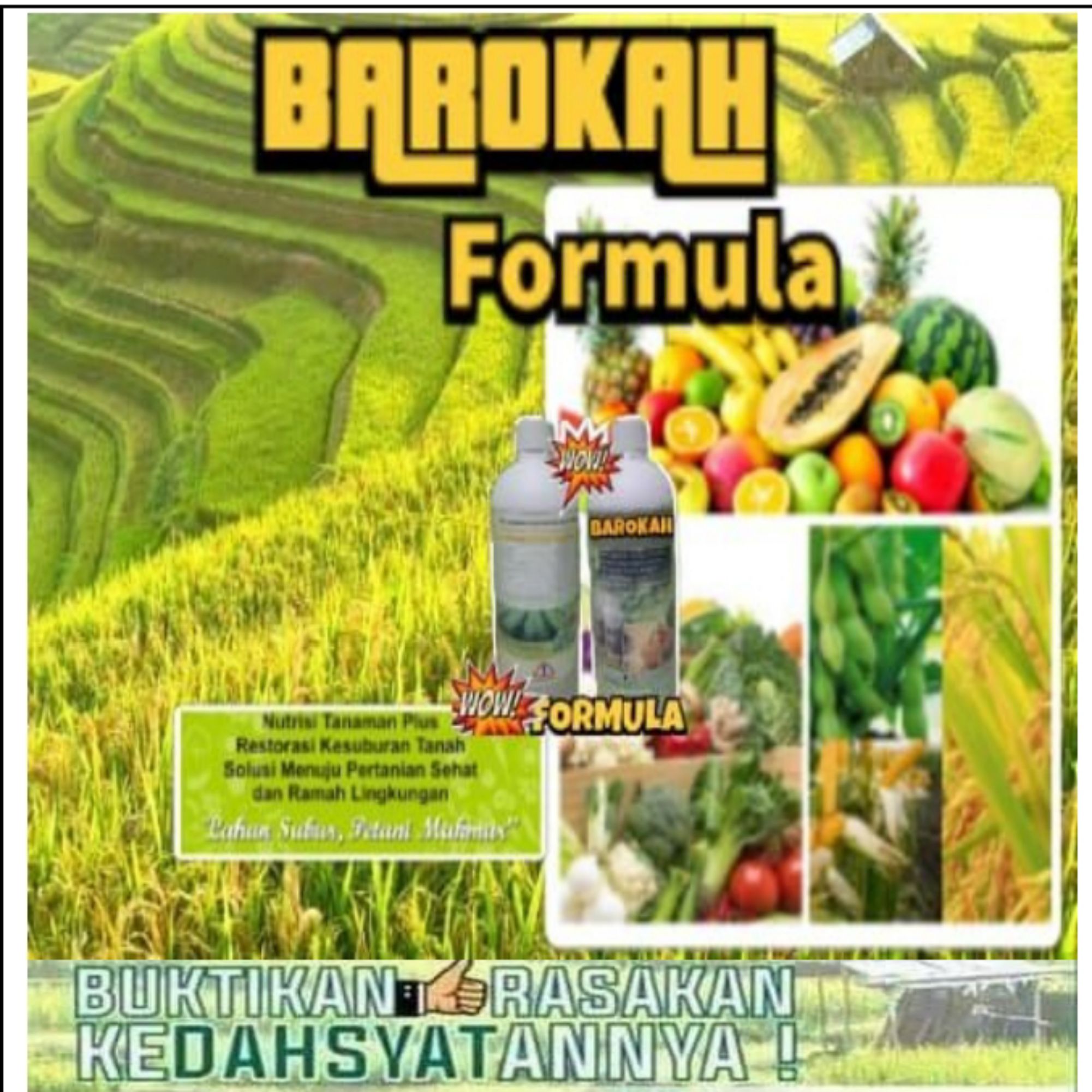 Produk qian_organik | Shopee Indonesia