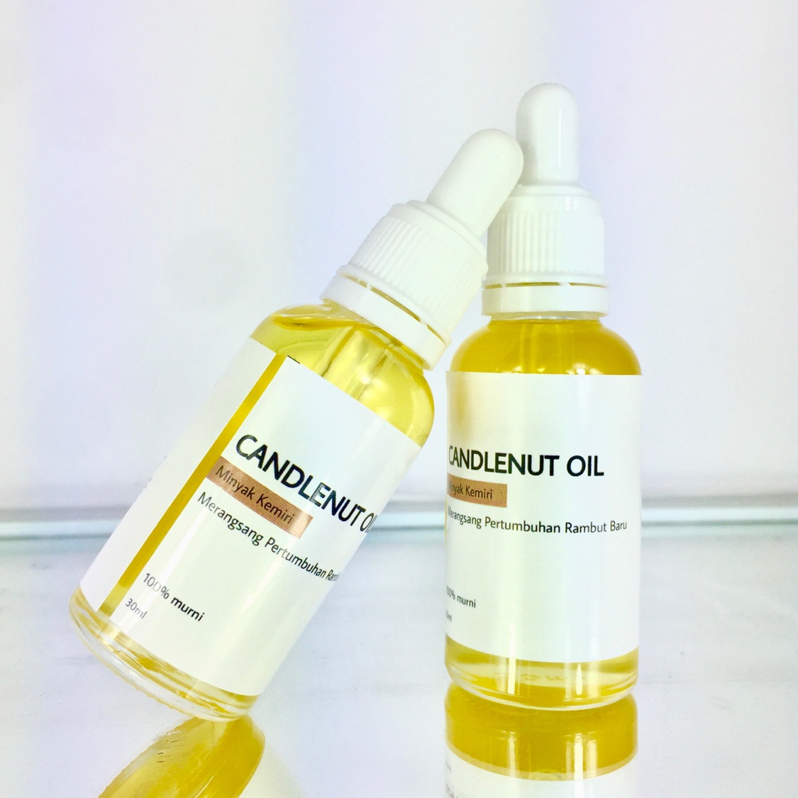Produk Candlenut Oil Ofc | Shopee Indonesia