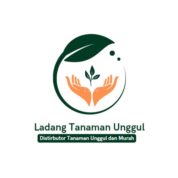Produk Ladang Tanaman Unggulan | Shopee Indonesia