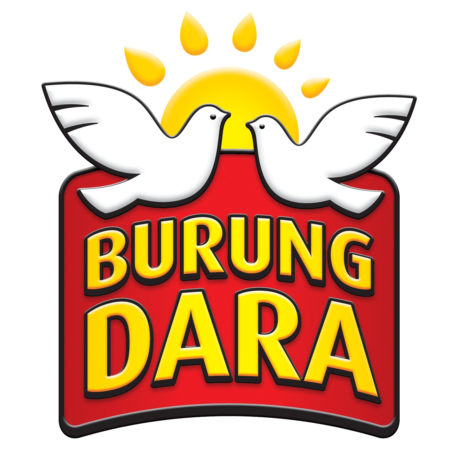 Toko Online Burung Dara Factory Outlet | Shopee Indonesia