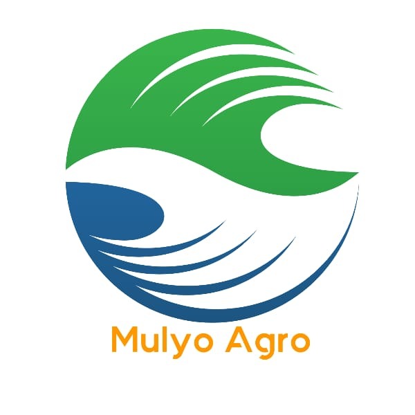 Produk Mulyo Agro | Shopee Indonesia