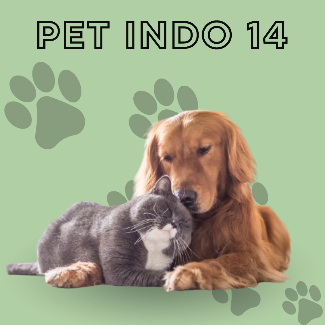Produk Petindo 14 | Shopee Indonesia