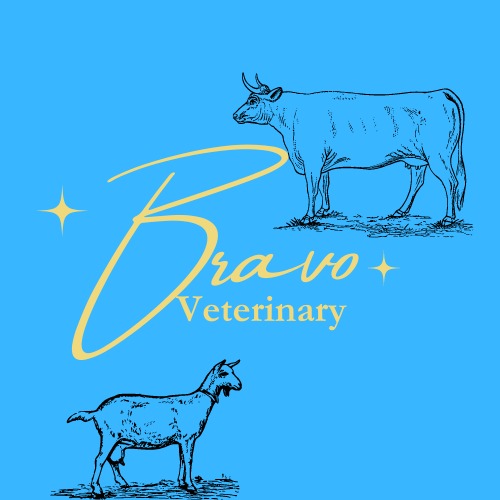 Produk Bravo Veterinary | Shopee Indonesia