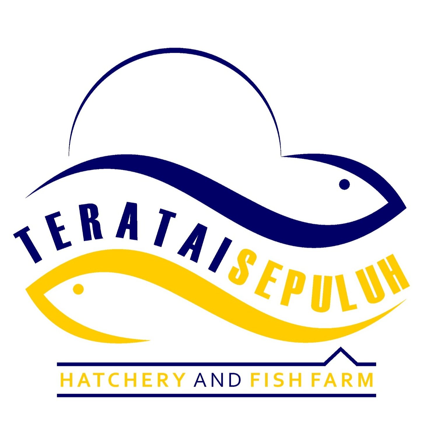 Produk Rumah Bibit Ikan Sukabumi | Shopee Indonesia