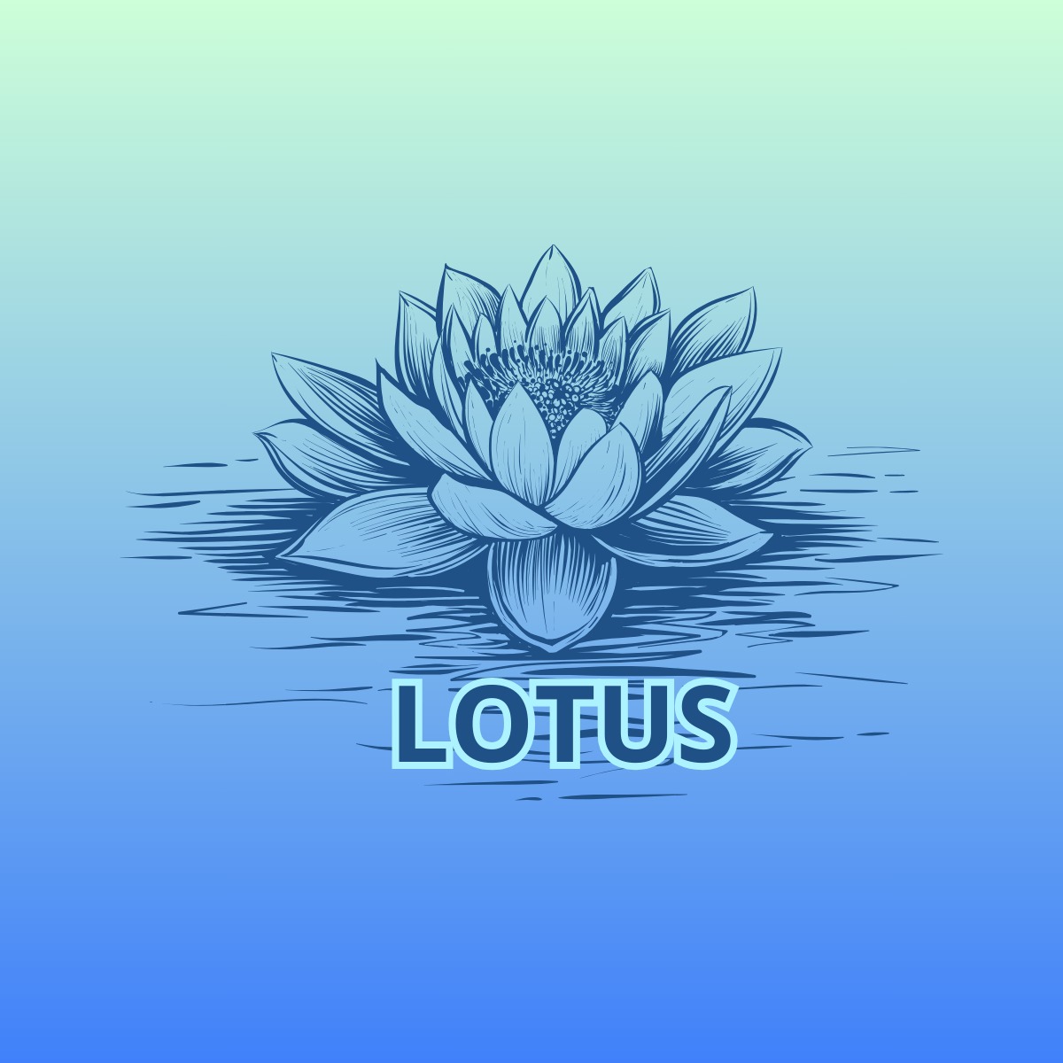 Produk LOTUS' | Shopee Indonesia