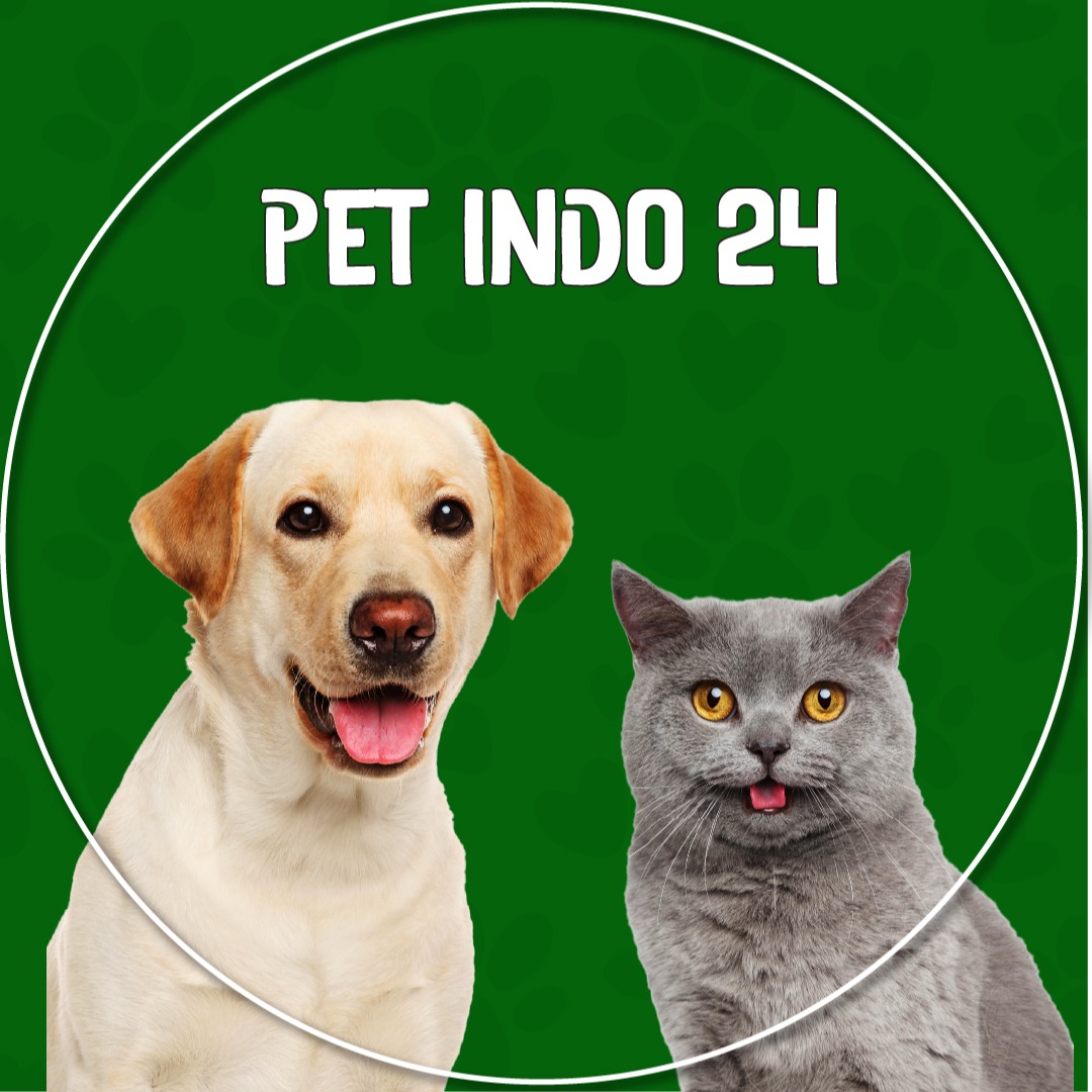 Produk Petindo 24 | Shopee Indonesia