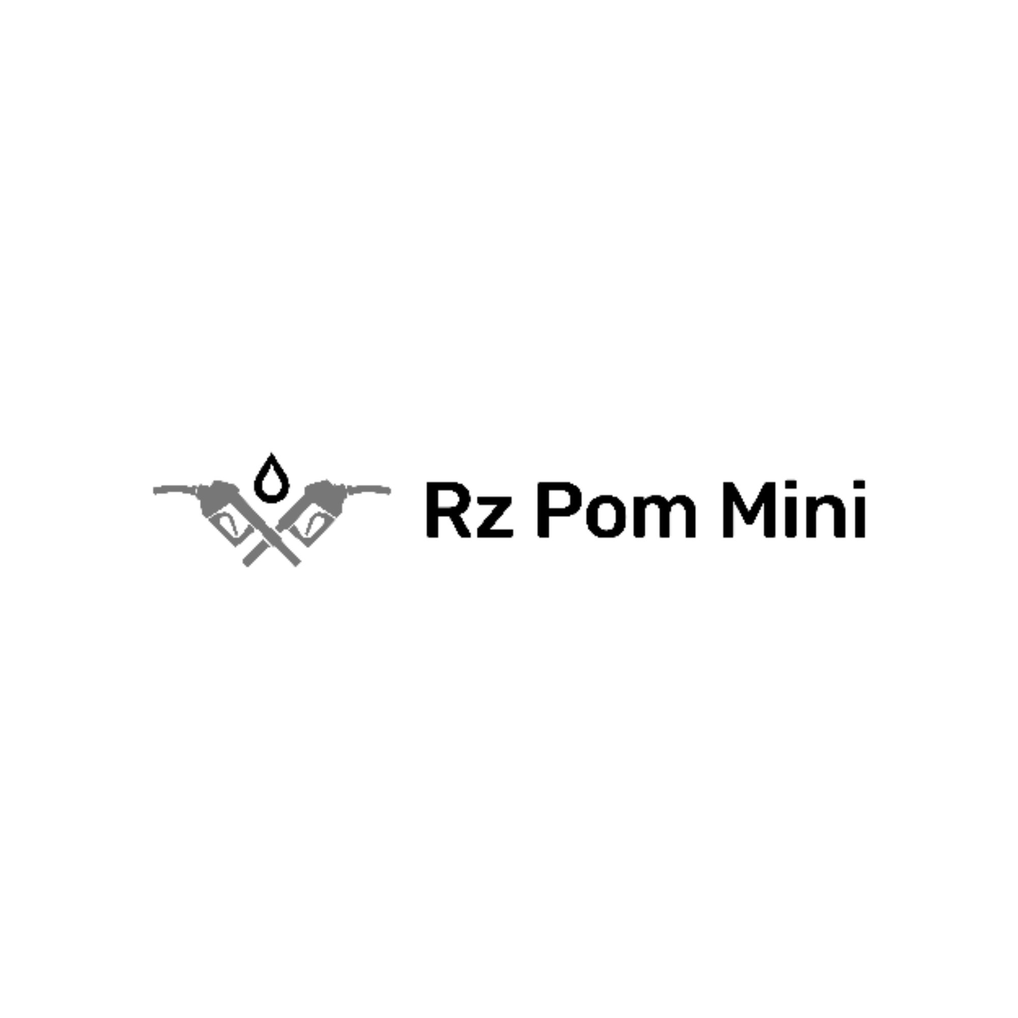 Produk RZ POM MINI | Shopee Indonesia