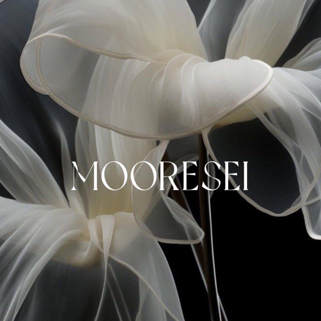 Produk Mooresei | Shopee Indonesia