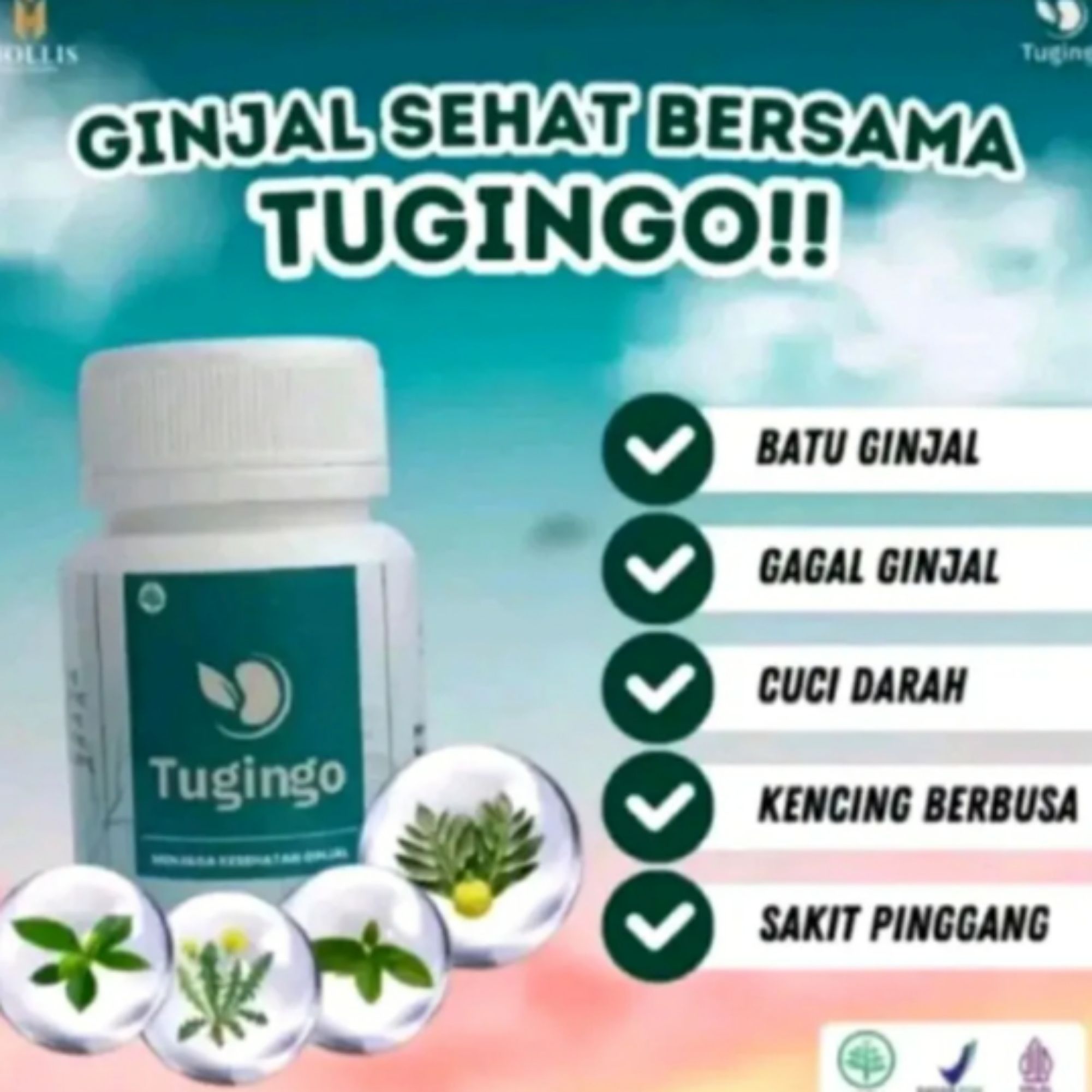 Produk Herbal On | Shopee Indonesia