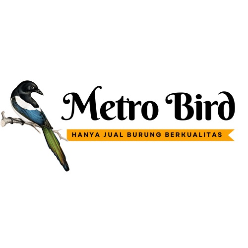 Produk metro birds | Shopee Indonesia