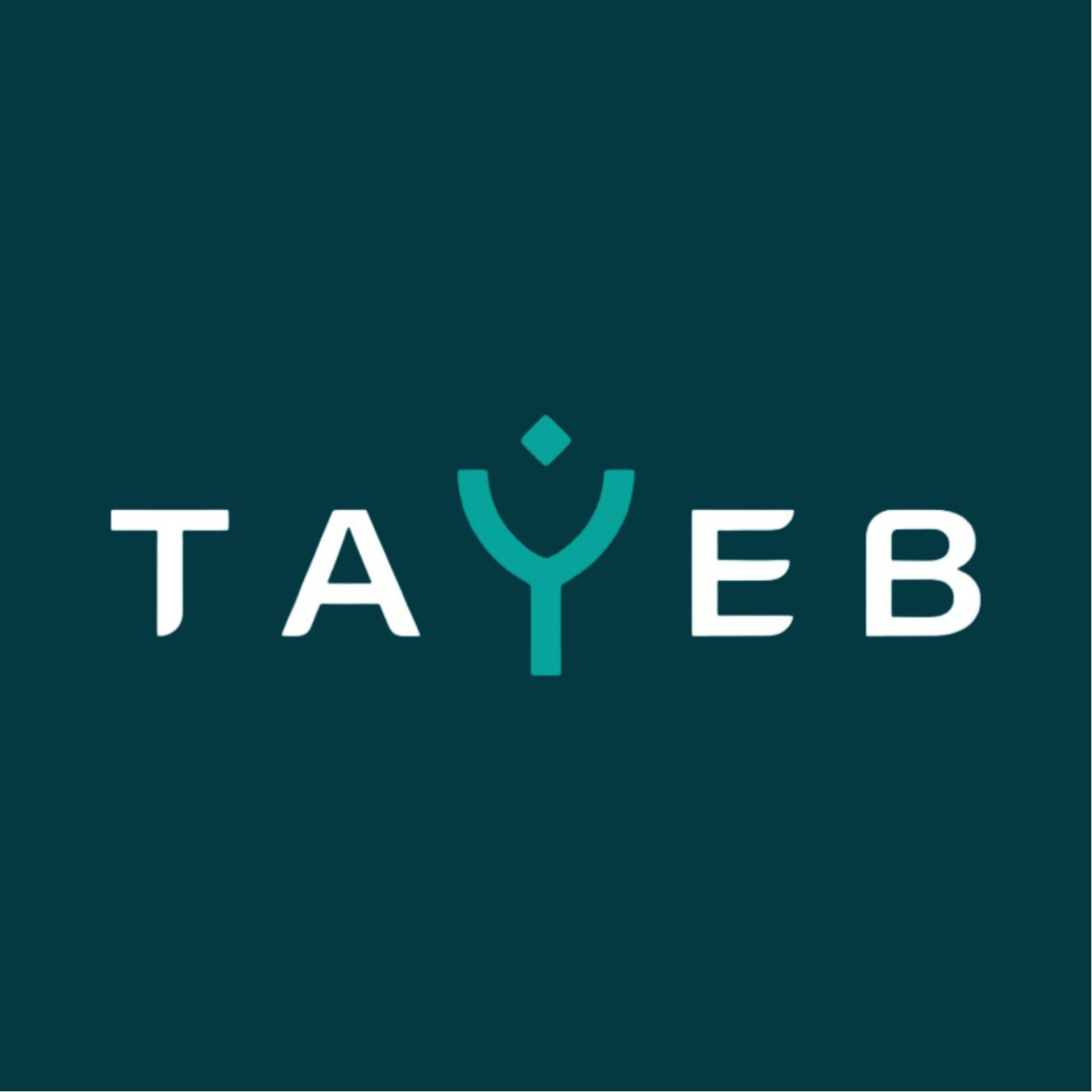 Produk TAYEB OFFICIAL | Shopee Indonesia