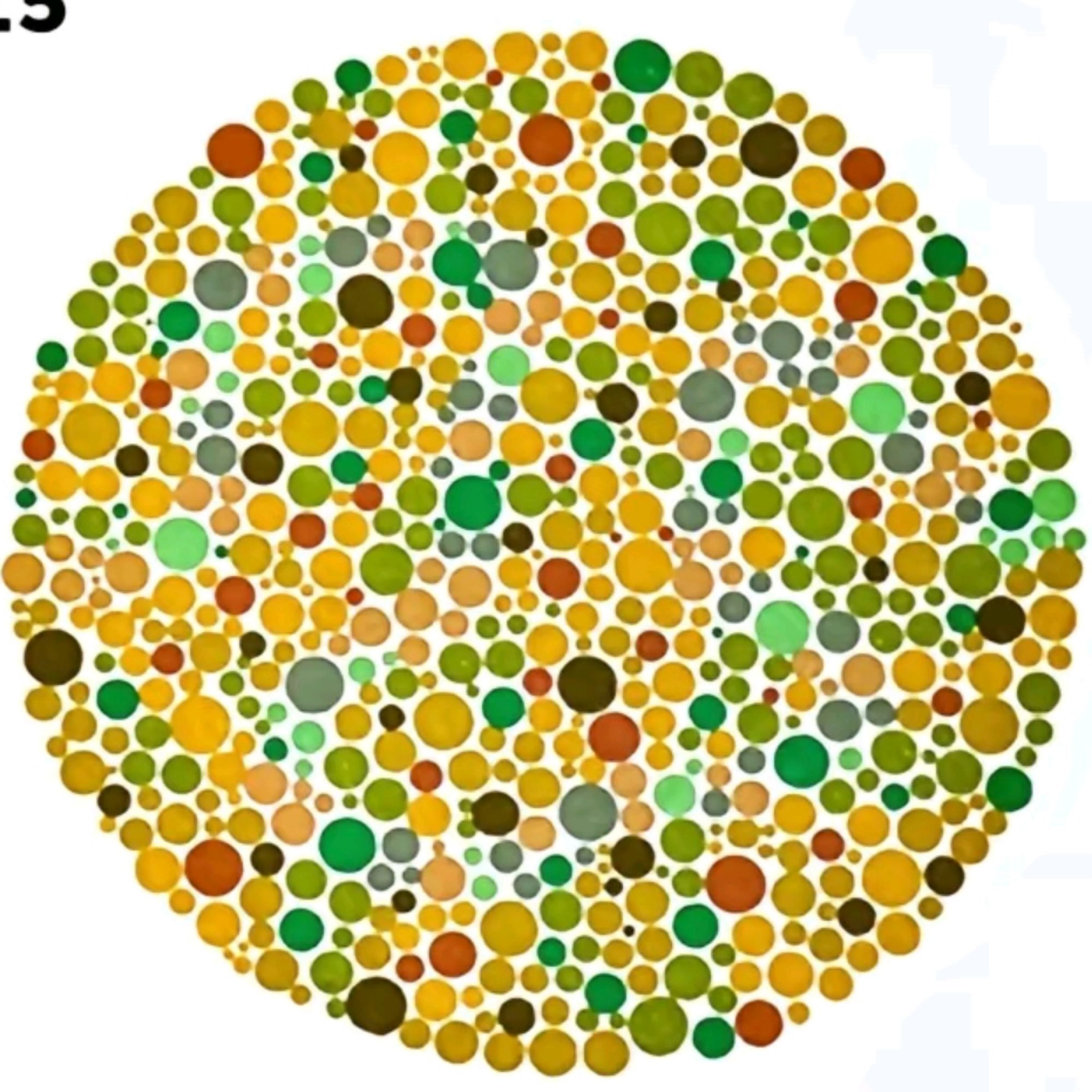 Produk Ridwan Idris Cell | Shopee Indonesia