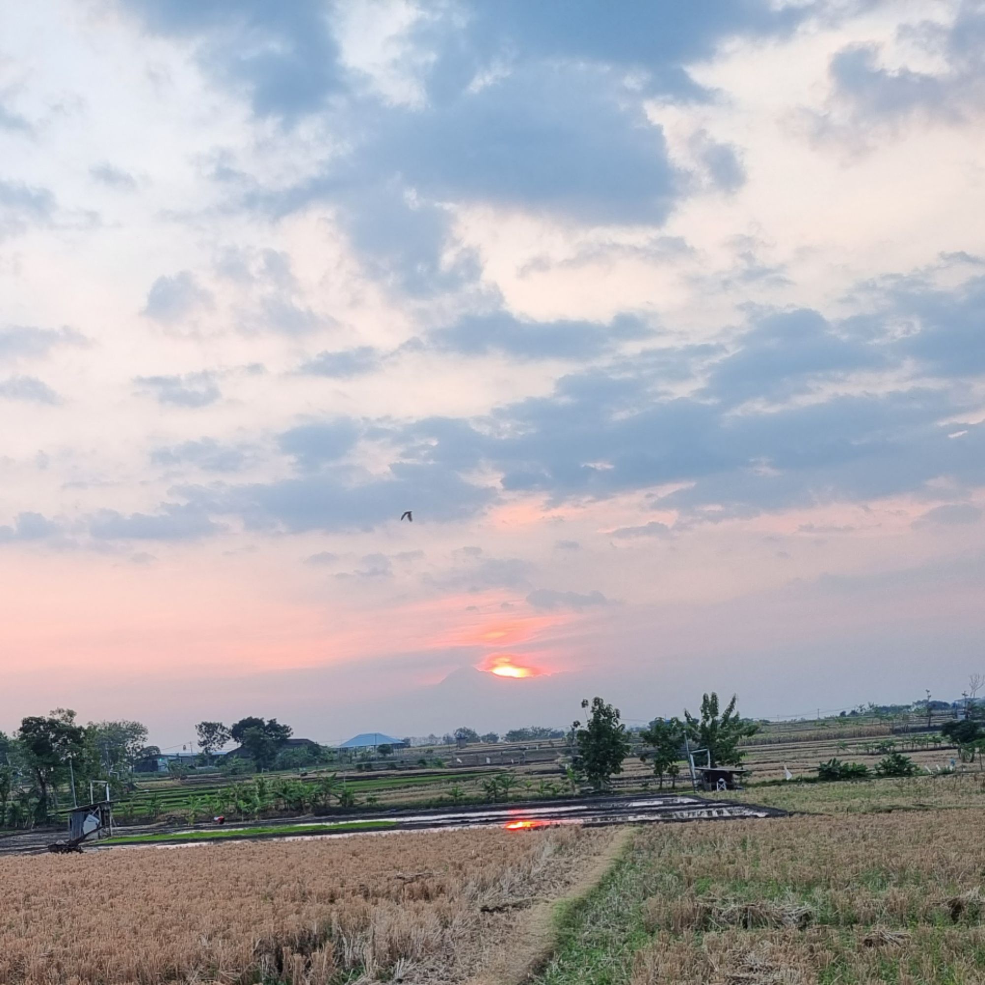 Produk rivand.net | Shopee Indonesia