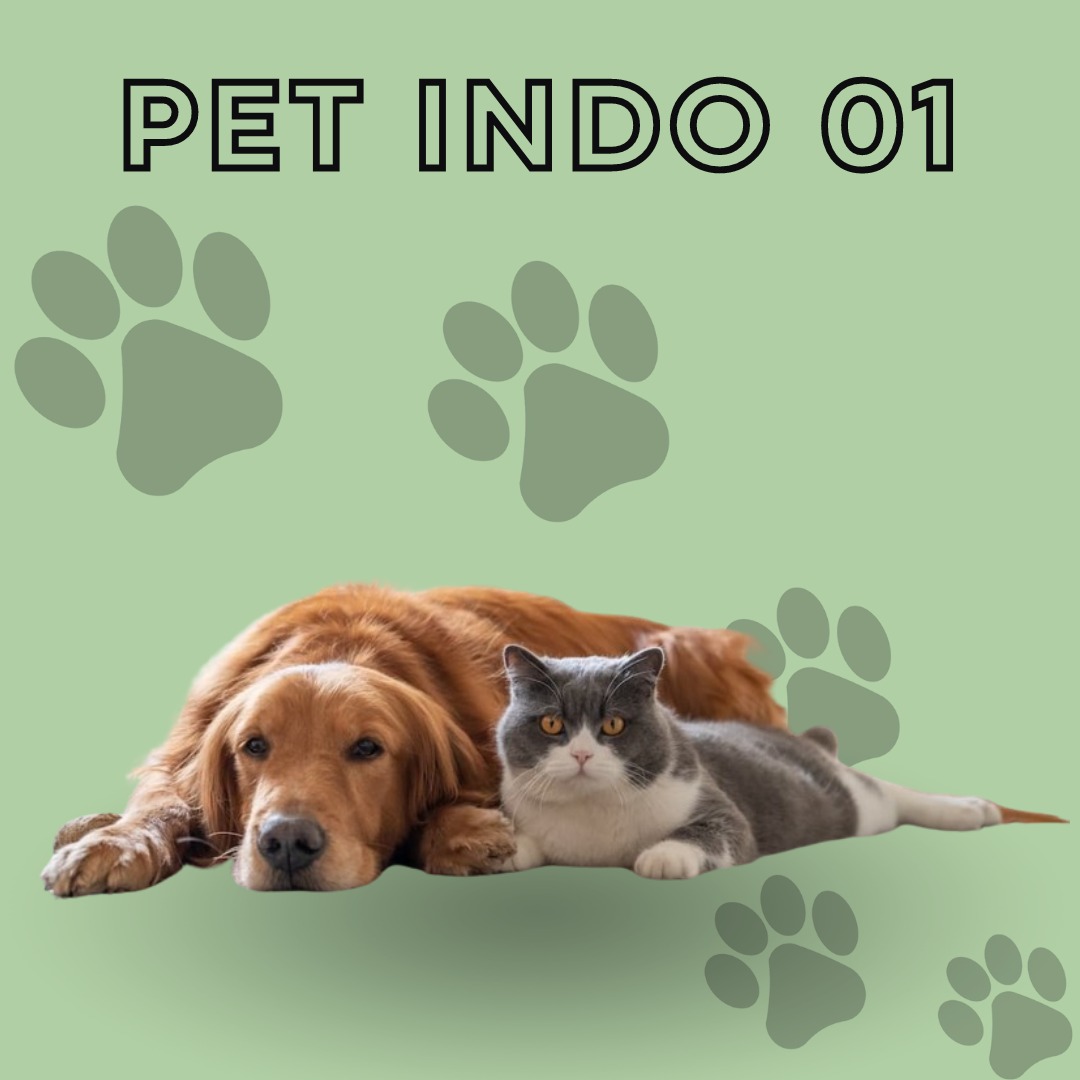 Produk Petindo 01 | Shopee Indonesia
