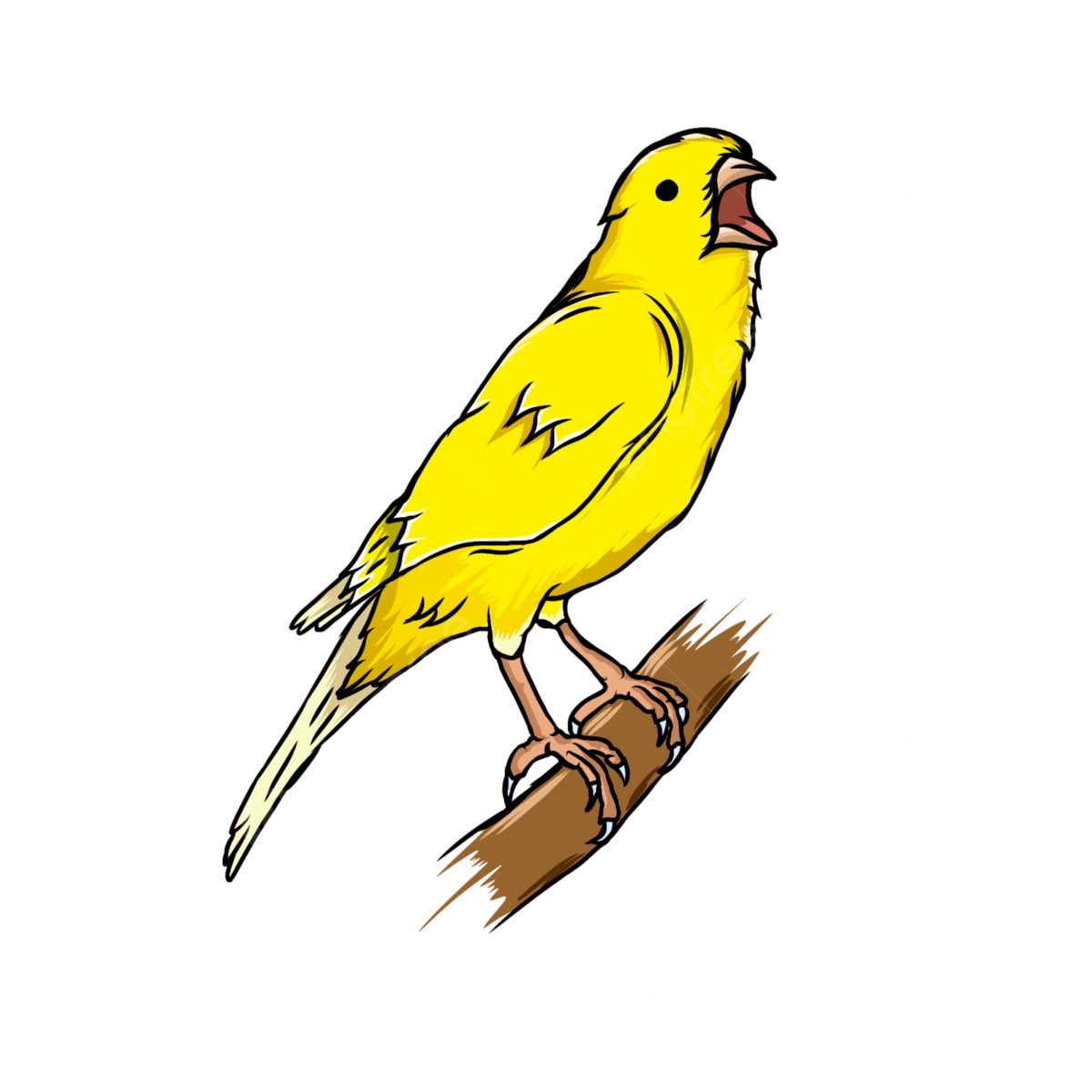 Produk Kenari_ID | Shopee Indonesia