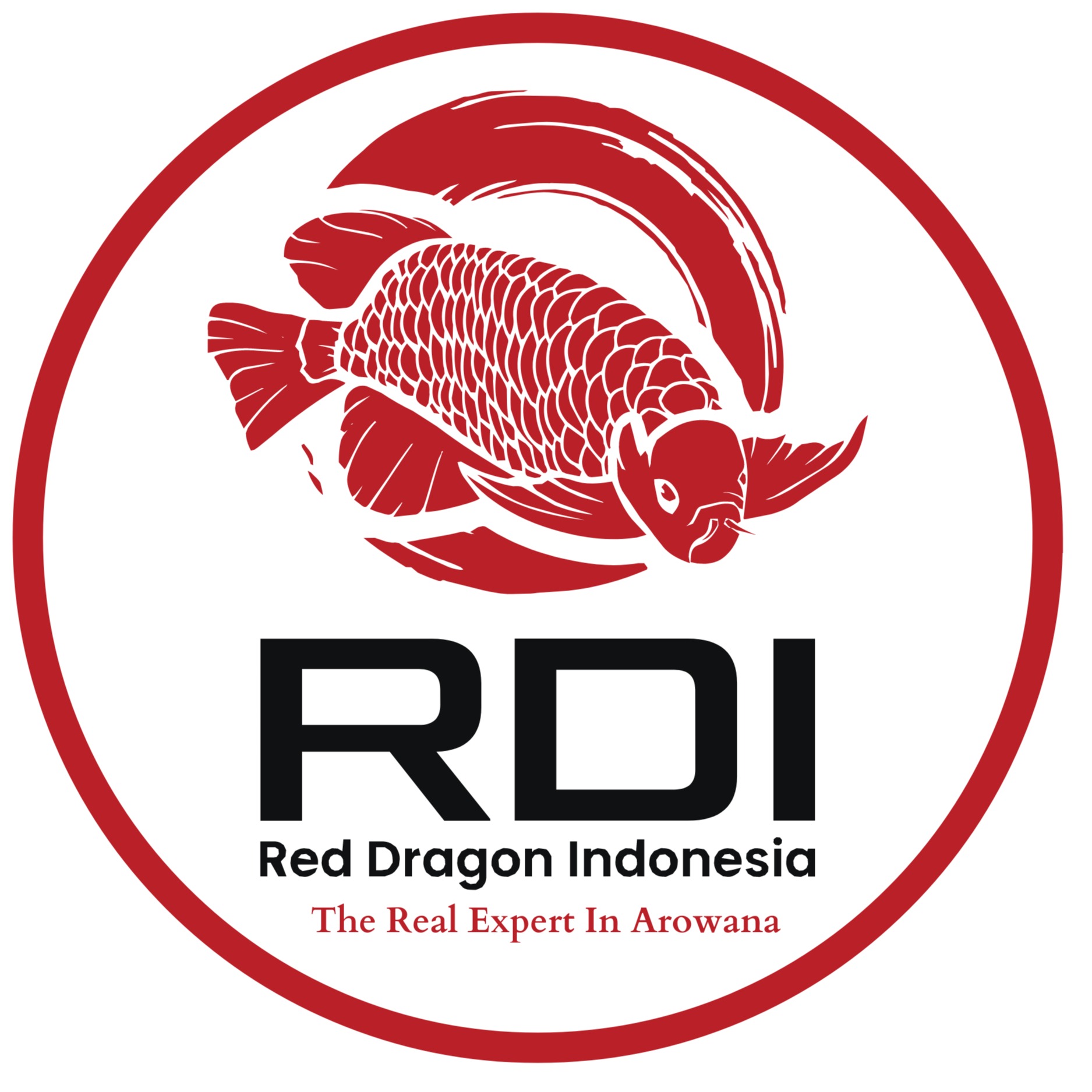 Produk Red Dragon Indonesia | Shopee Indonesia