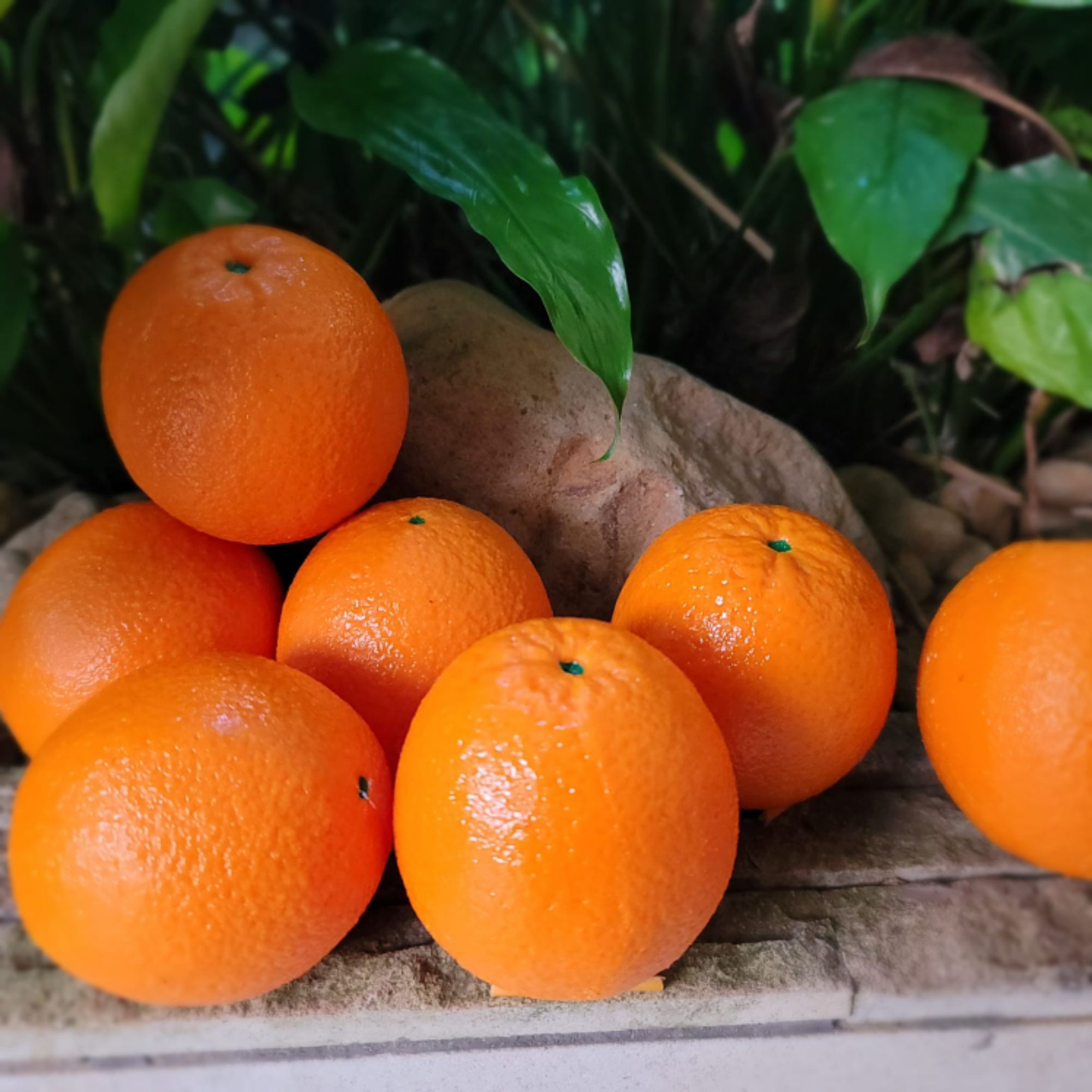 Produk Dummy.collection | Shopee Indonesia