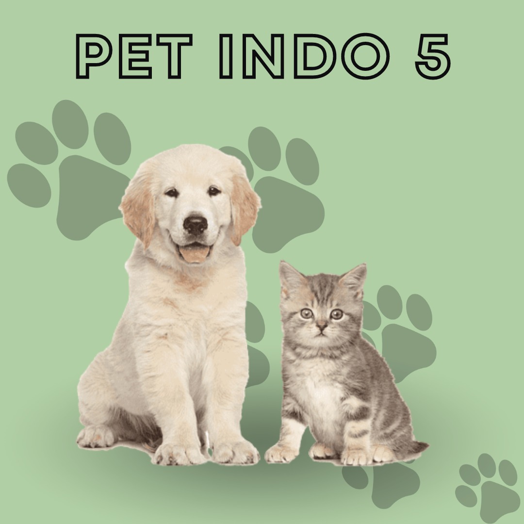 Produk Pet Indo 5 | Shopee Indonesia