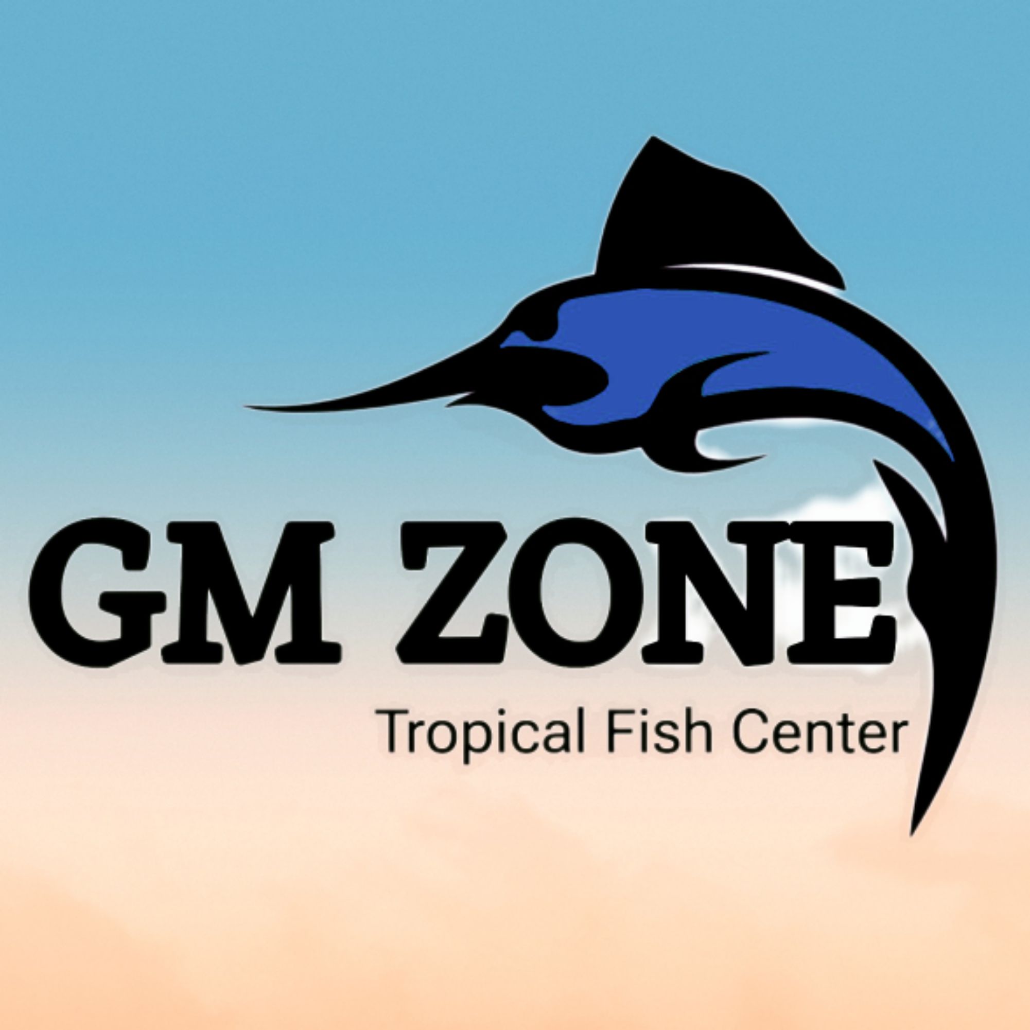 Produk GM ZONE | Shopee Indonesia