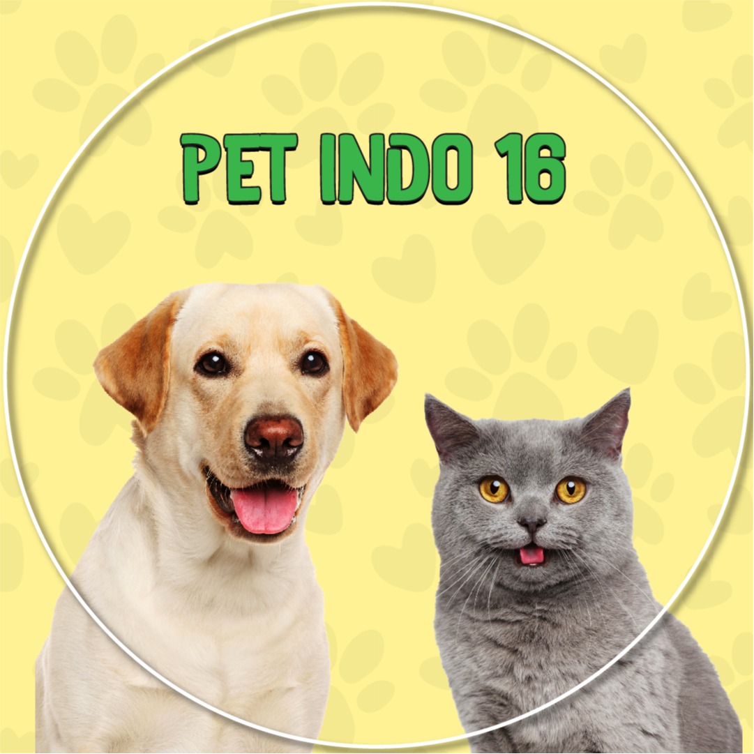 Produk Pet Indo 16 | Shopee Indonesia