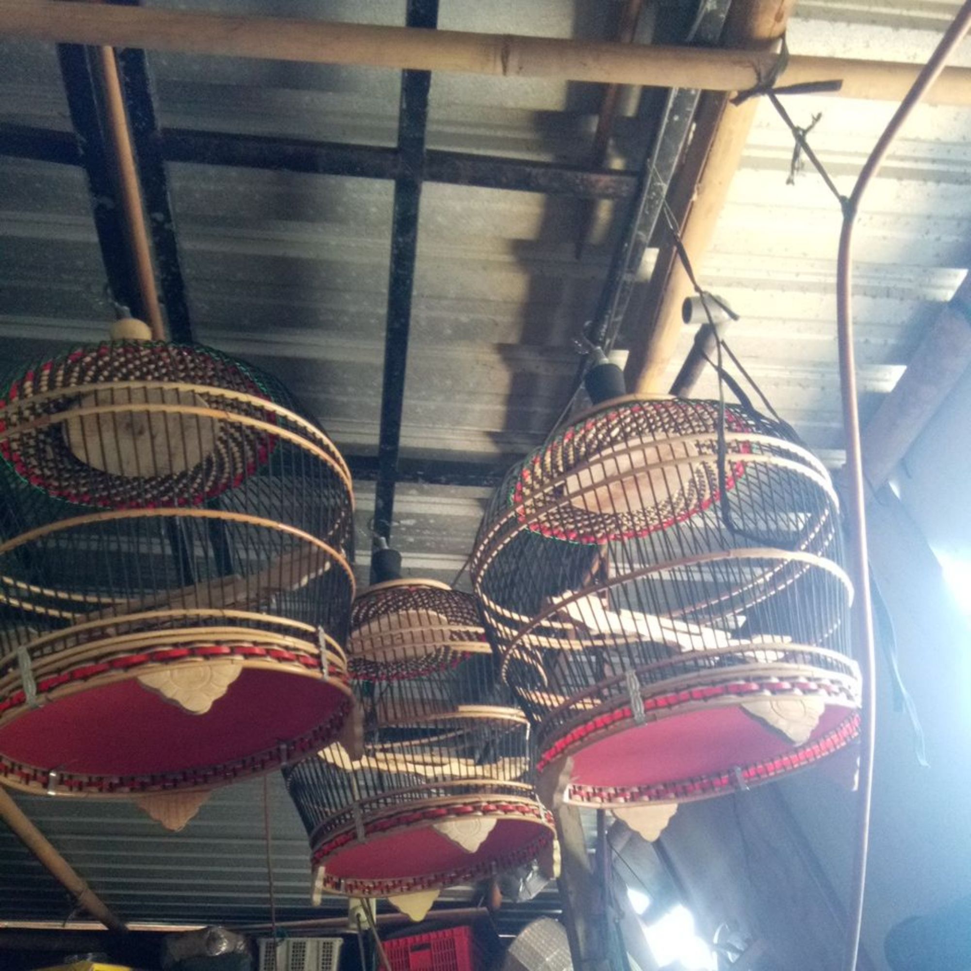 Produk ANI$A SANGKAR | Shopee Indonesia