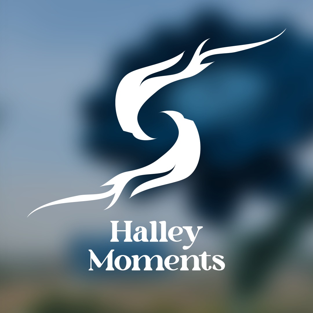 Produk Halley Items | Shopee Indonesia