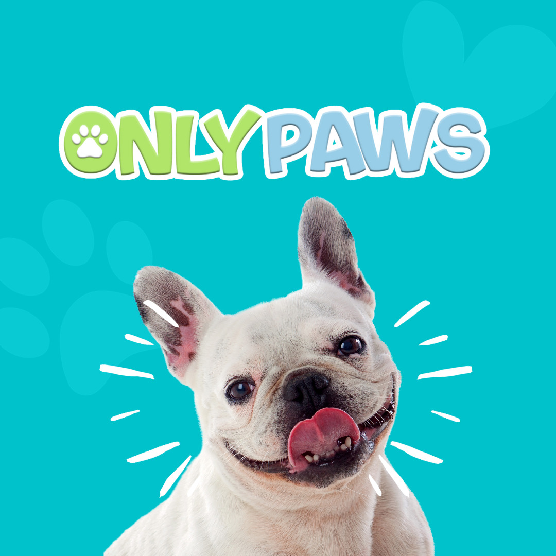 Produk Only Paws ID | Shopee Indonesia