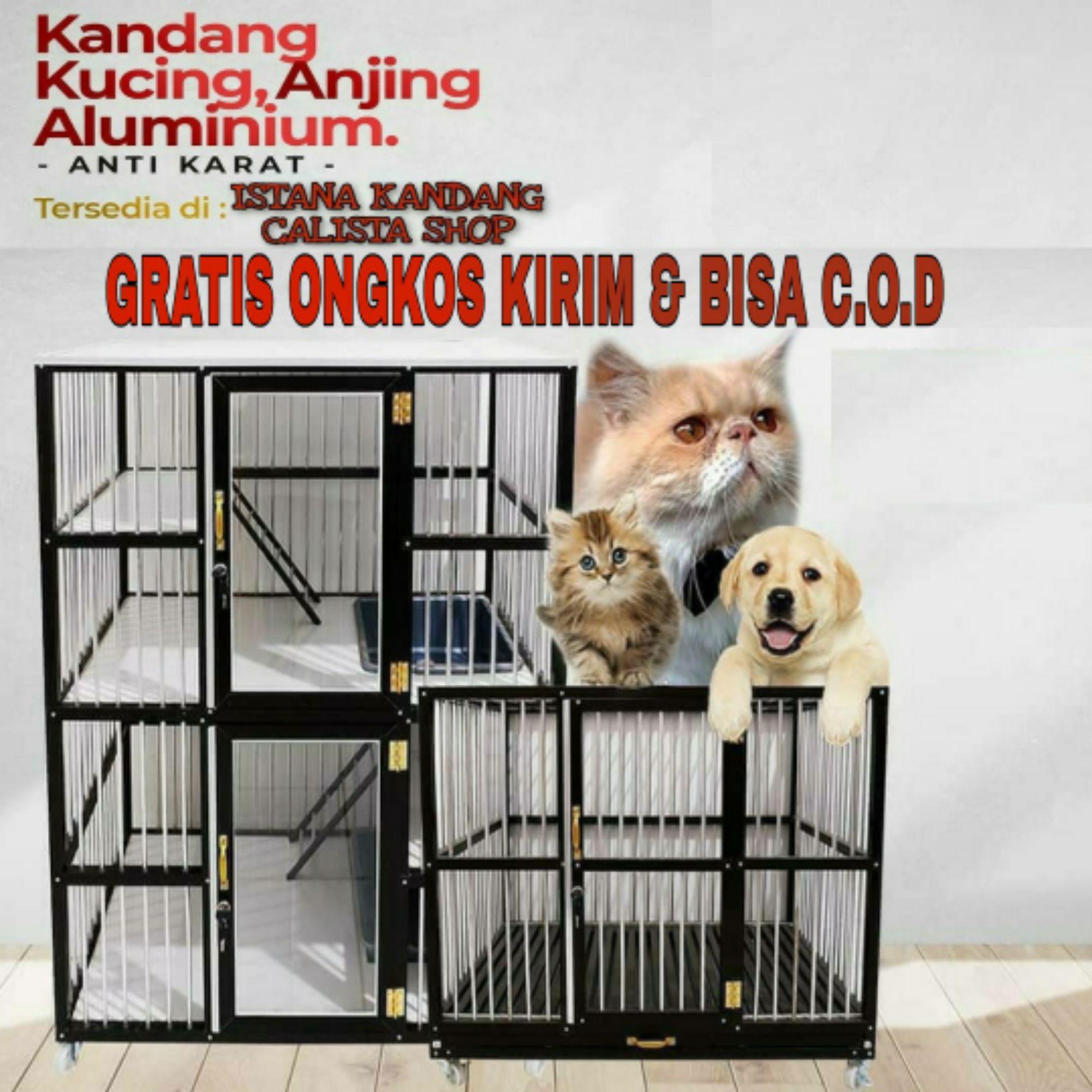 Produk CALISTA.OFFICIAL.JEMBER | Shopee Indonesia