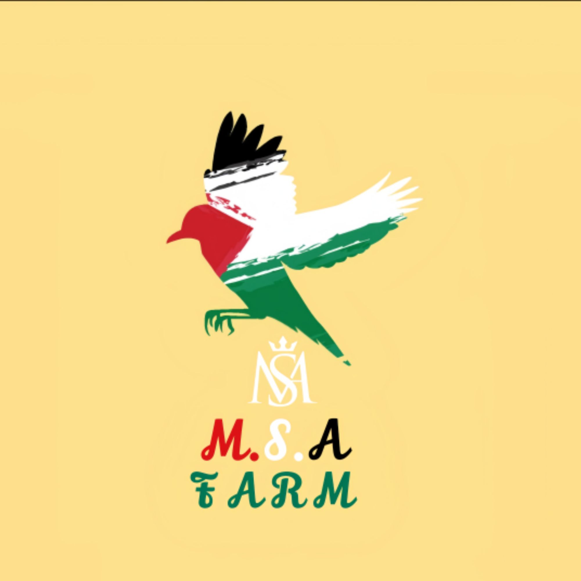 Produk MSA FARM OFENCIALL | Shopee Indonesia