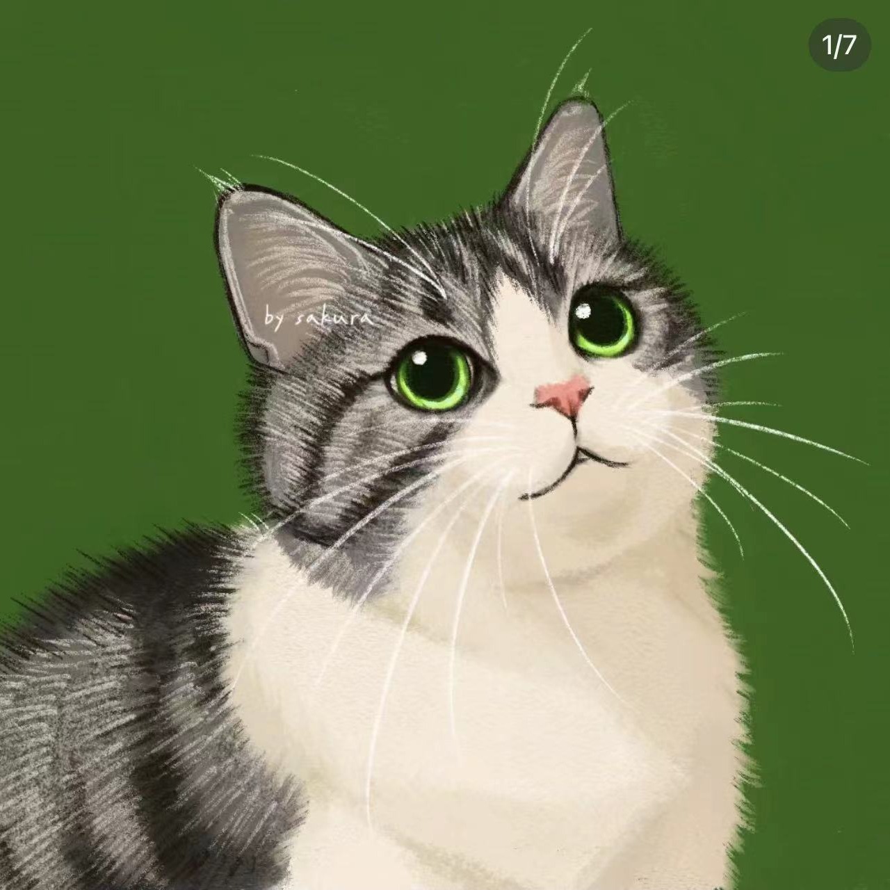 Produk Toko Kucing indah | Shopee Indonesia