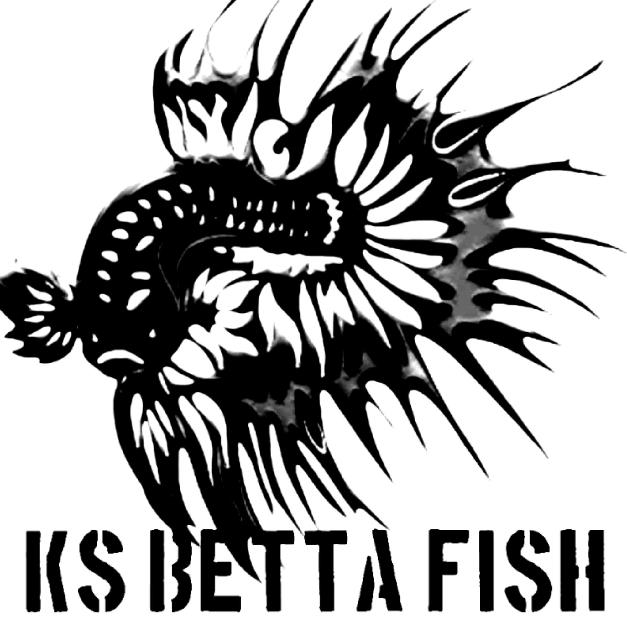 Produk KS Betta shop | Shopee Indonesia