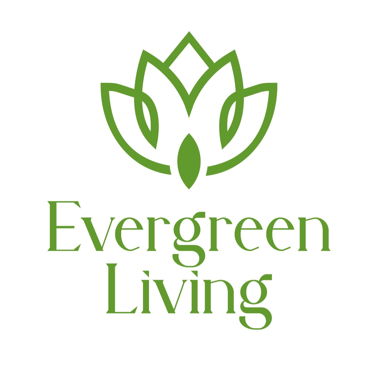 Produk Evergreen Living | Shopee Indonesia