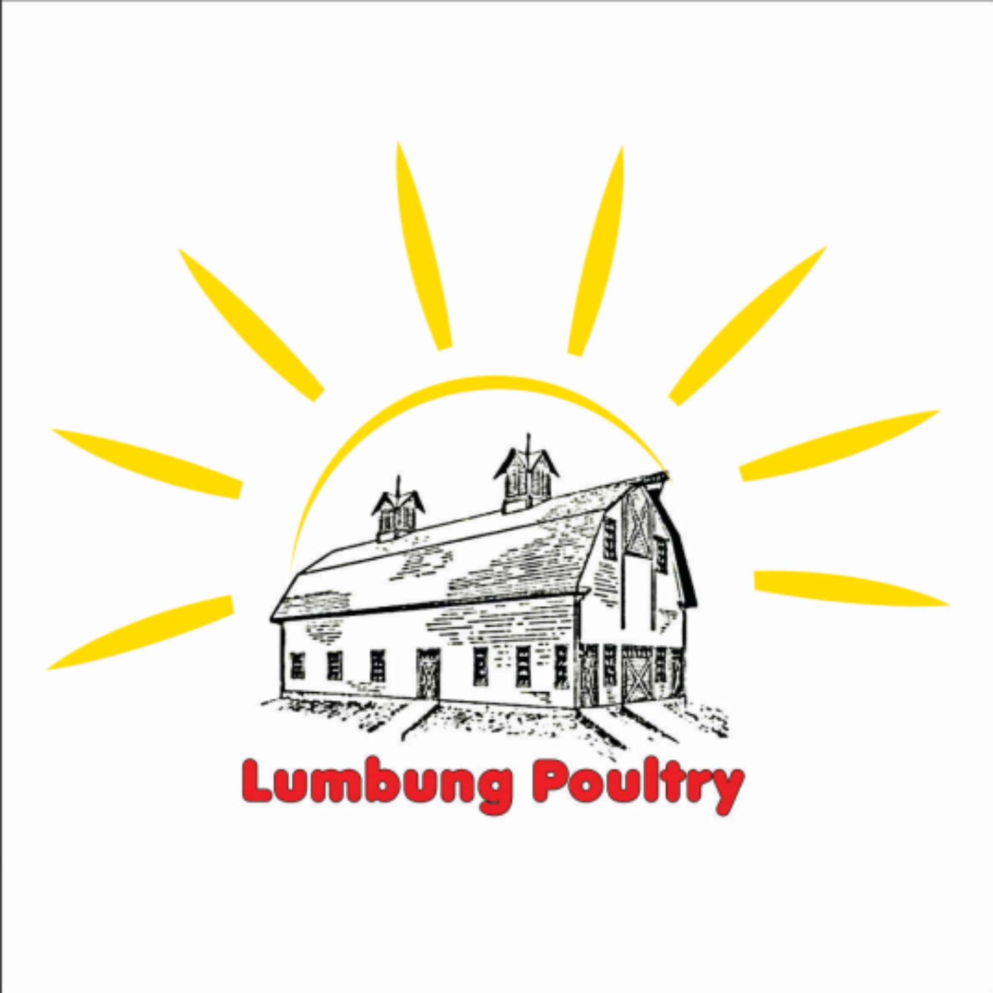 Produk Lumbung Poultry | Shopee Indonesia