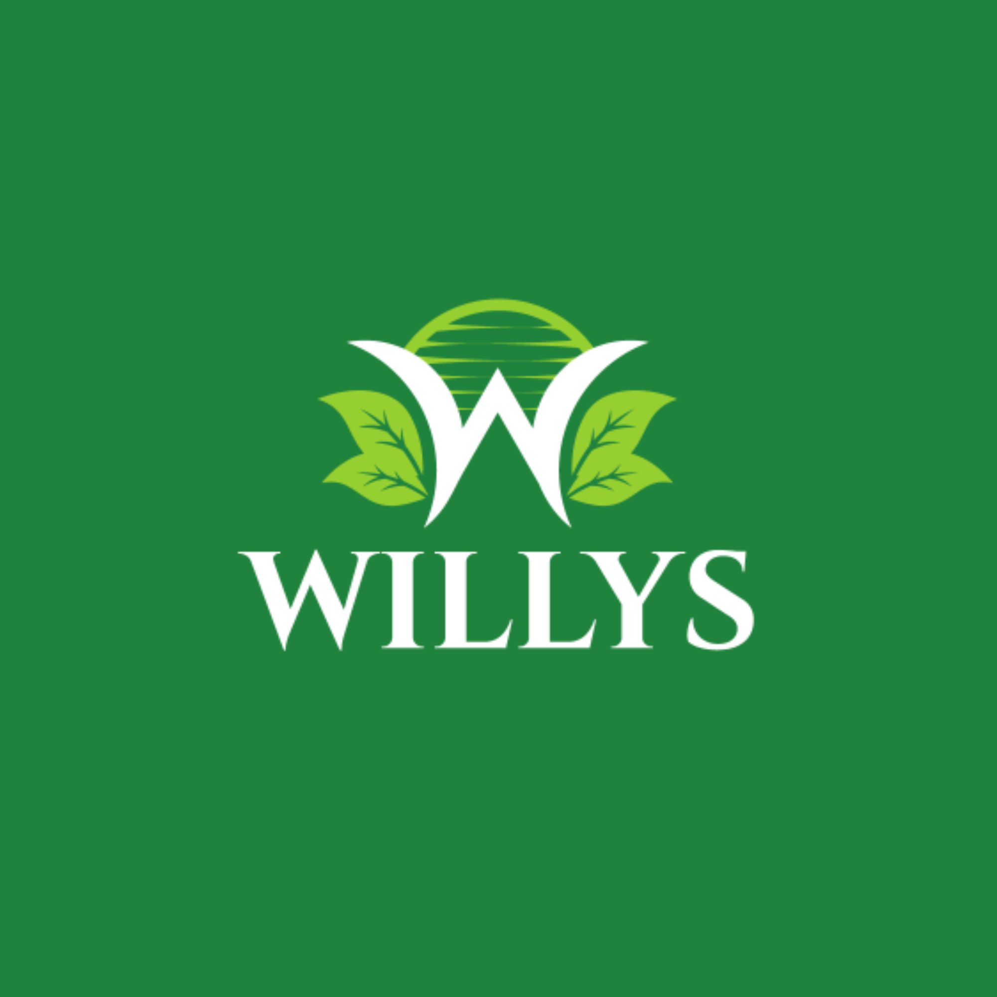 Produk Willys.Store | Shopee Indonesia