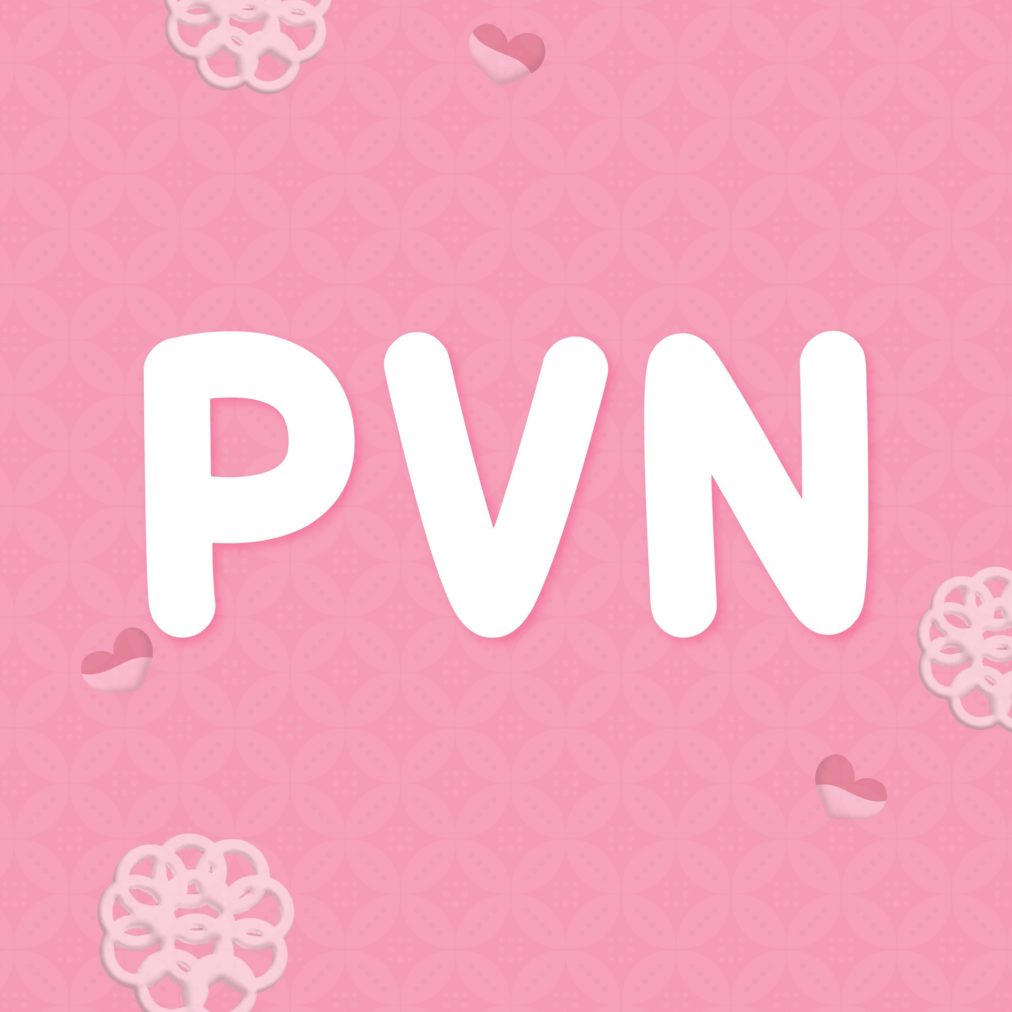 Toko Online PVN Official Shop - Produk Resmi Terlengkap & Harga Terbaru ...