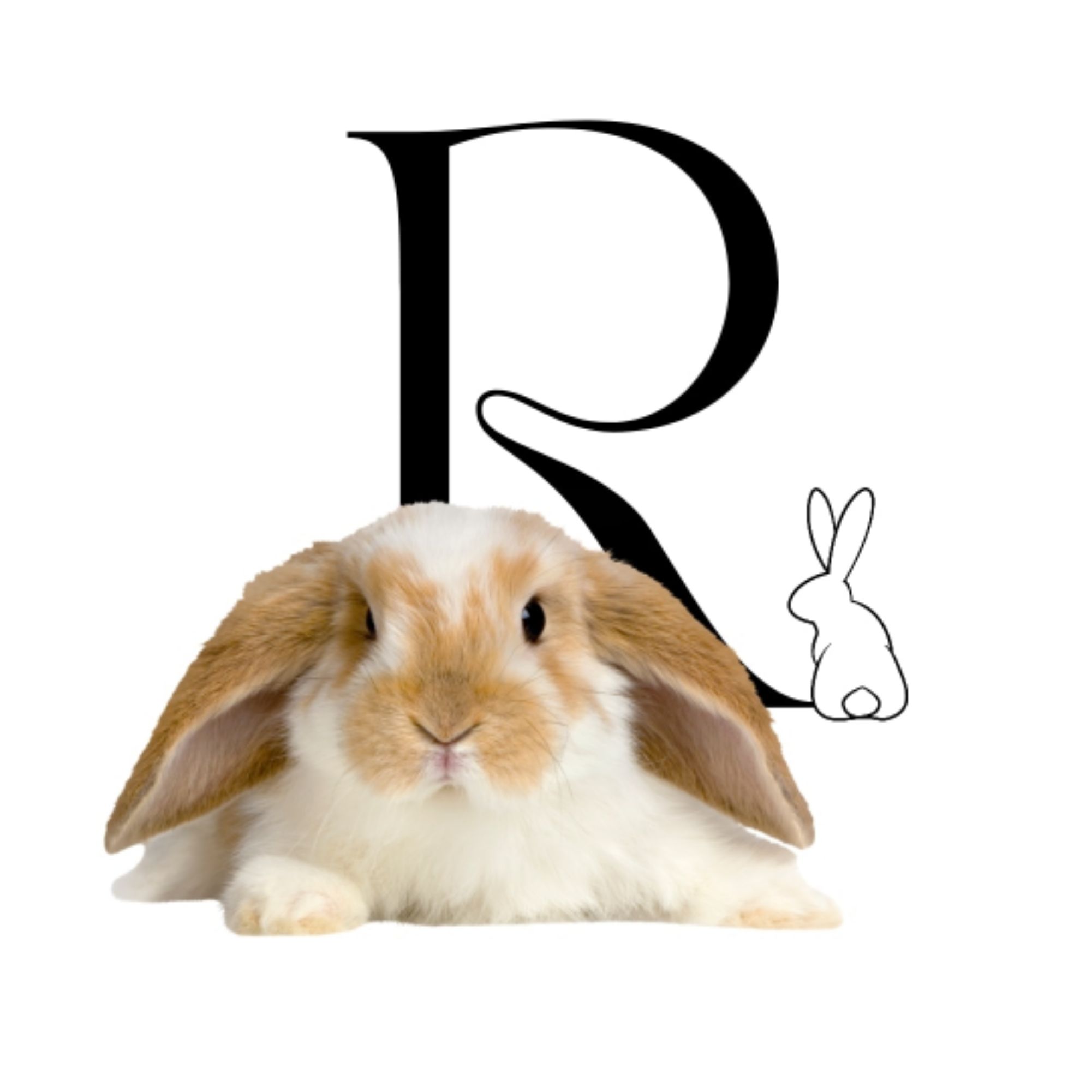 Produk The Royal Bunny Official | Shopee Indonesia