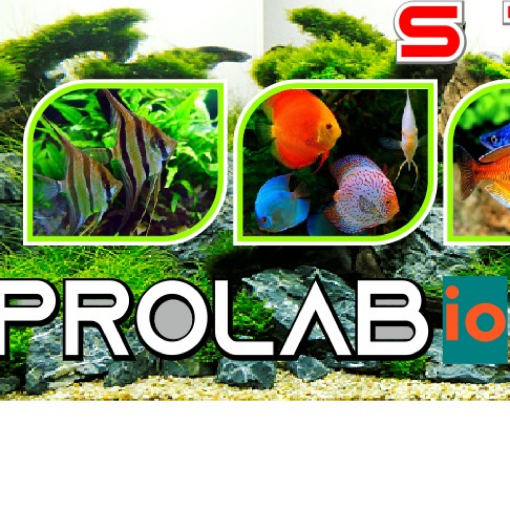 Produk Prolabio official | Shopee Indonesia
