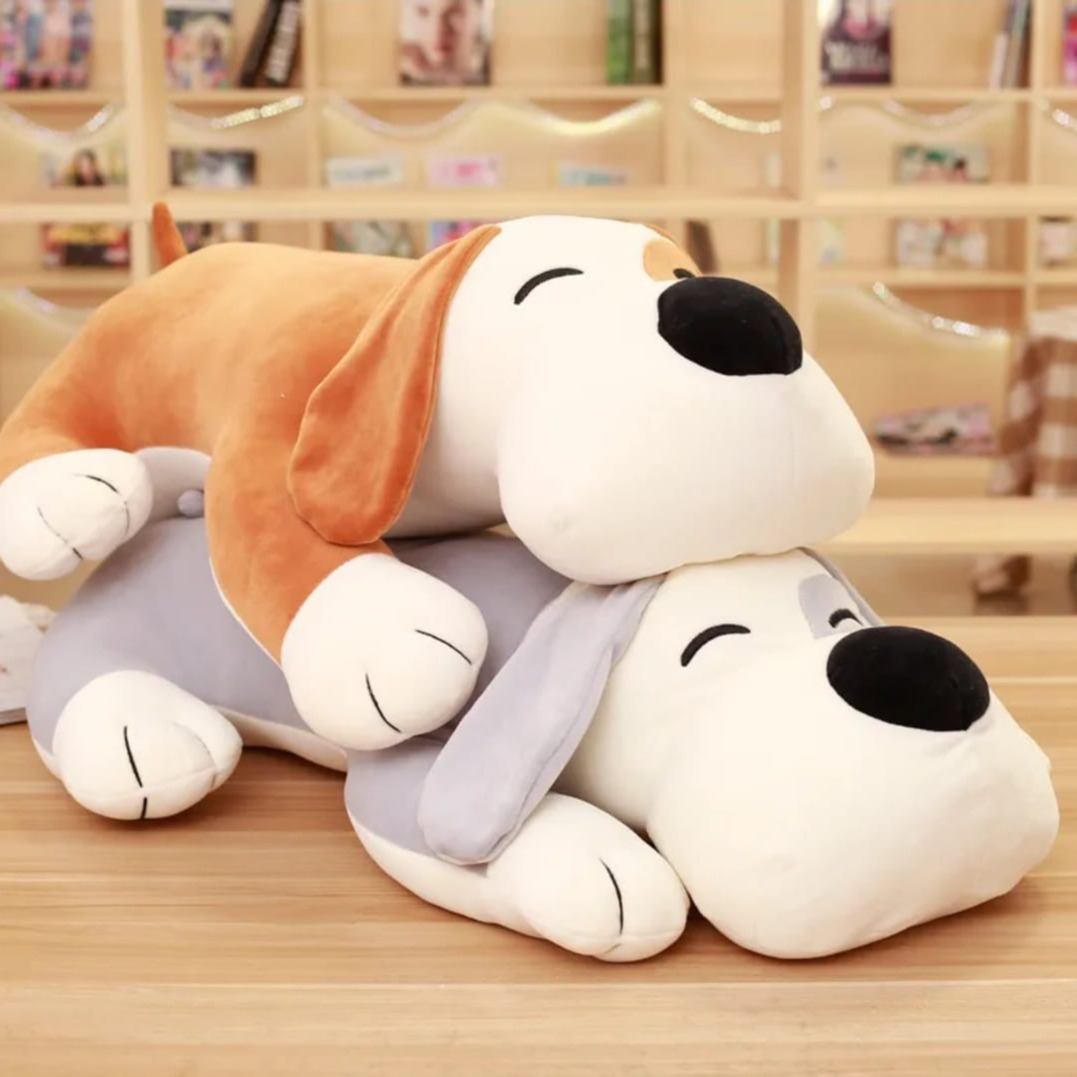 Produk RUMAH KADO BEKASI | Shopee Indonesia