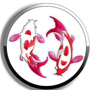 Produk Koi Official Store | Shopee Indonesia