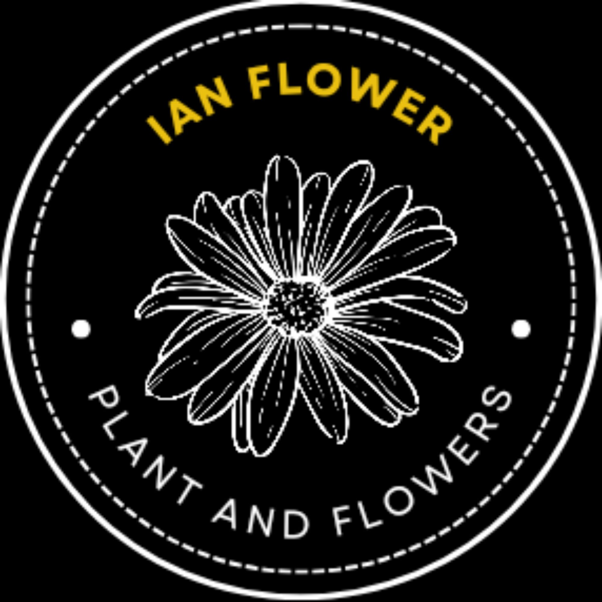 Produk Ian flowers | Shopee Indonesia