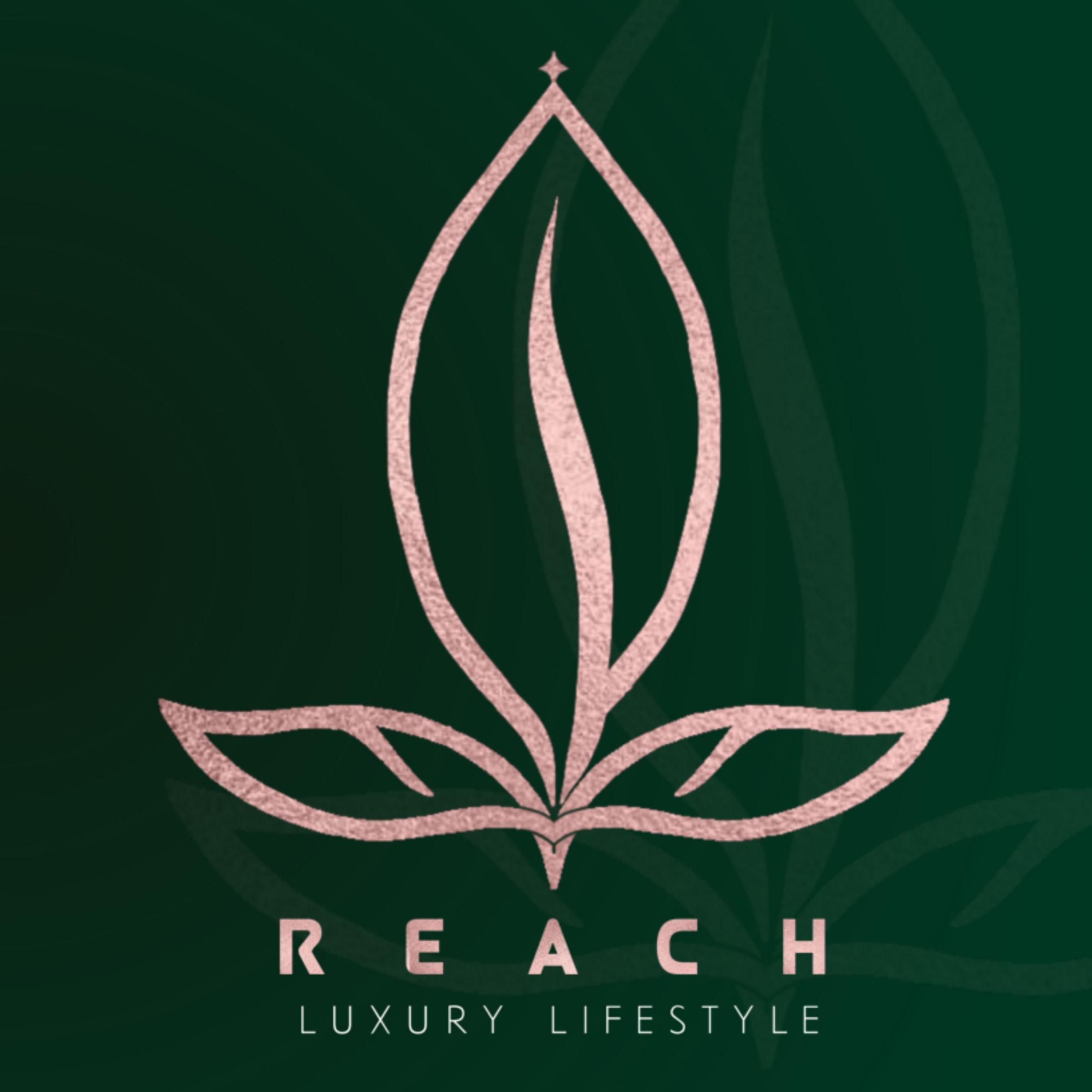 Produk REACHIS | Shopee Indonesia