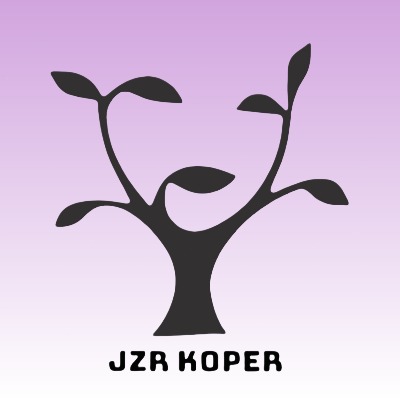 Produk JZR Koper | Shopee Indonesia