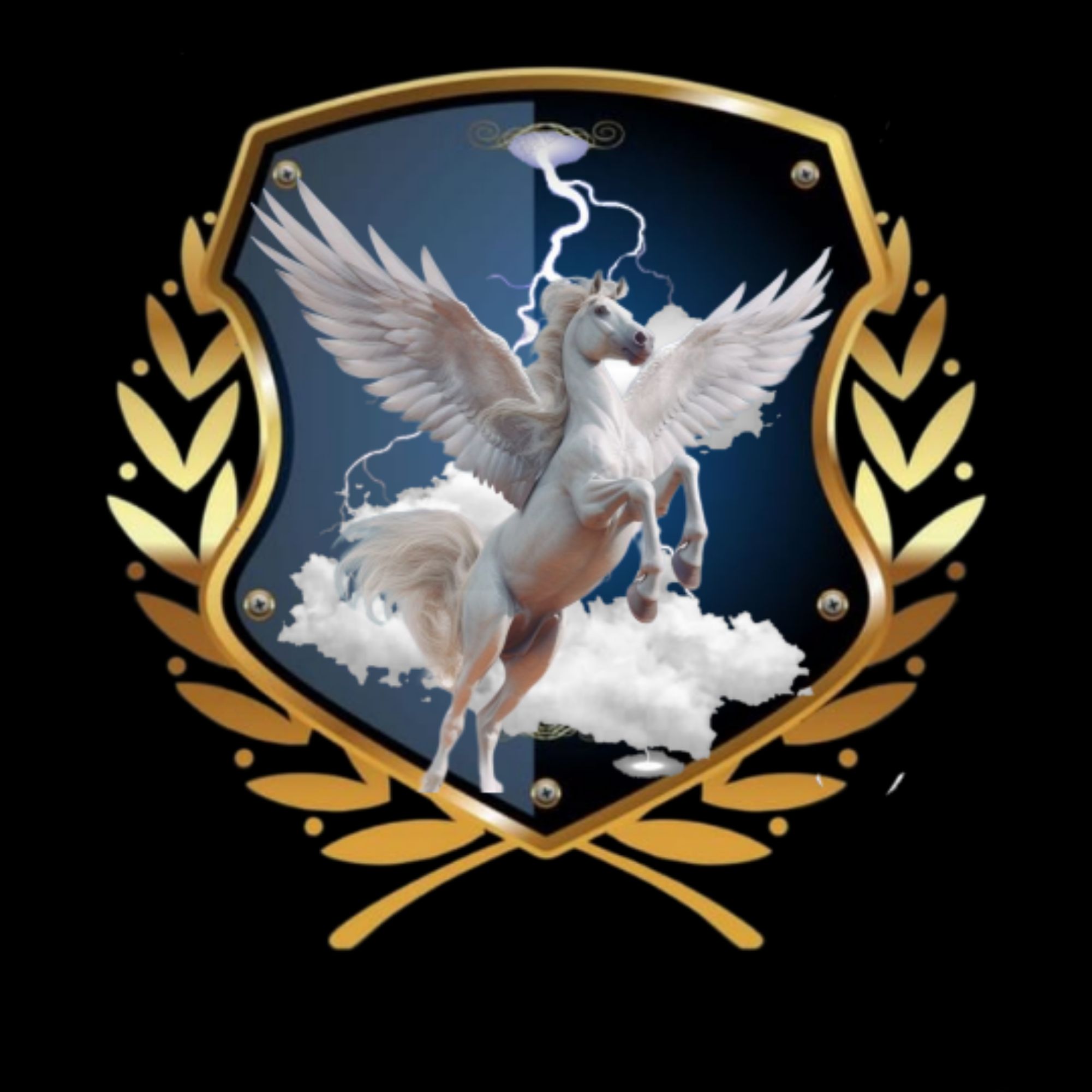 Produk Pegasus Motor | Shopee Indonesia