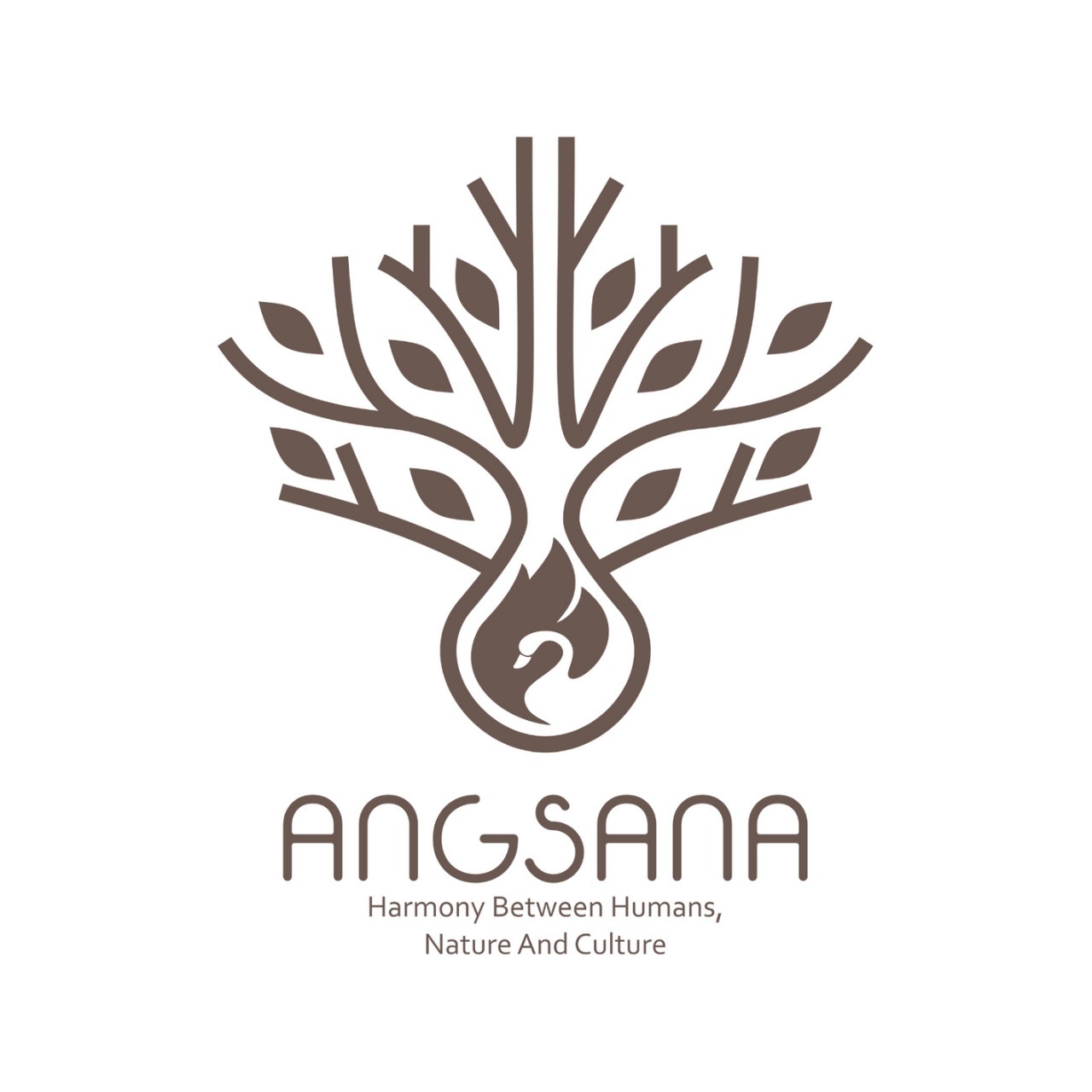 Produk Angsana.co | Shopee Indonesia